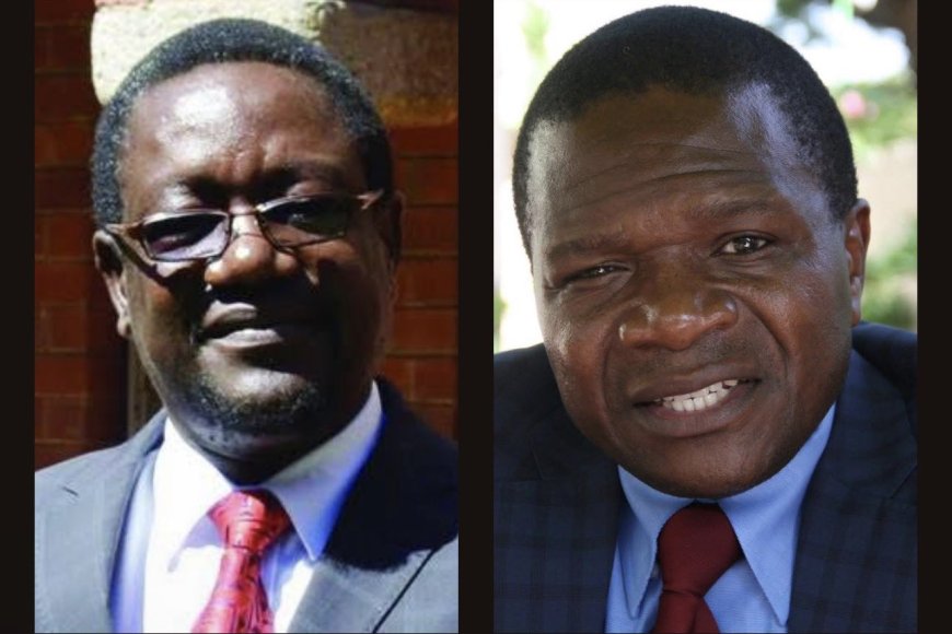 Zimbabwe CIO Chief Fired Amid Allegations of Nepotism and Misconduct ...